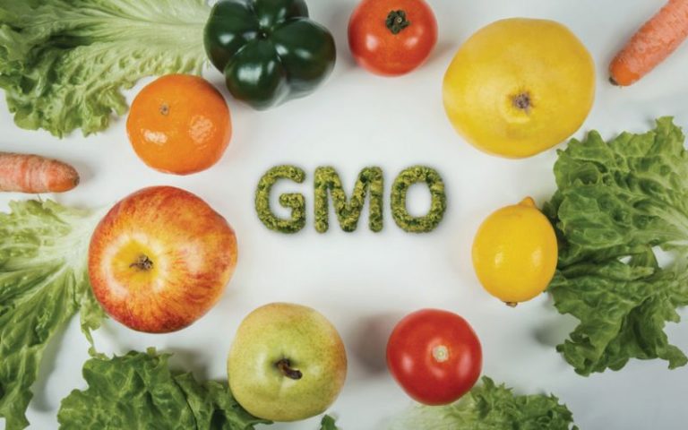 GMO Là Gì? Lợi Ích Và Mối Lo Ngại Về Sức Khỏe